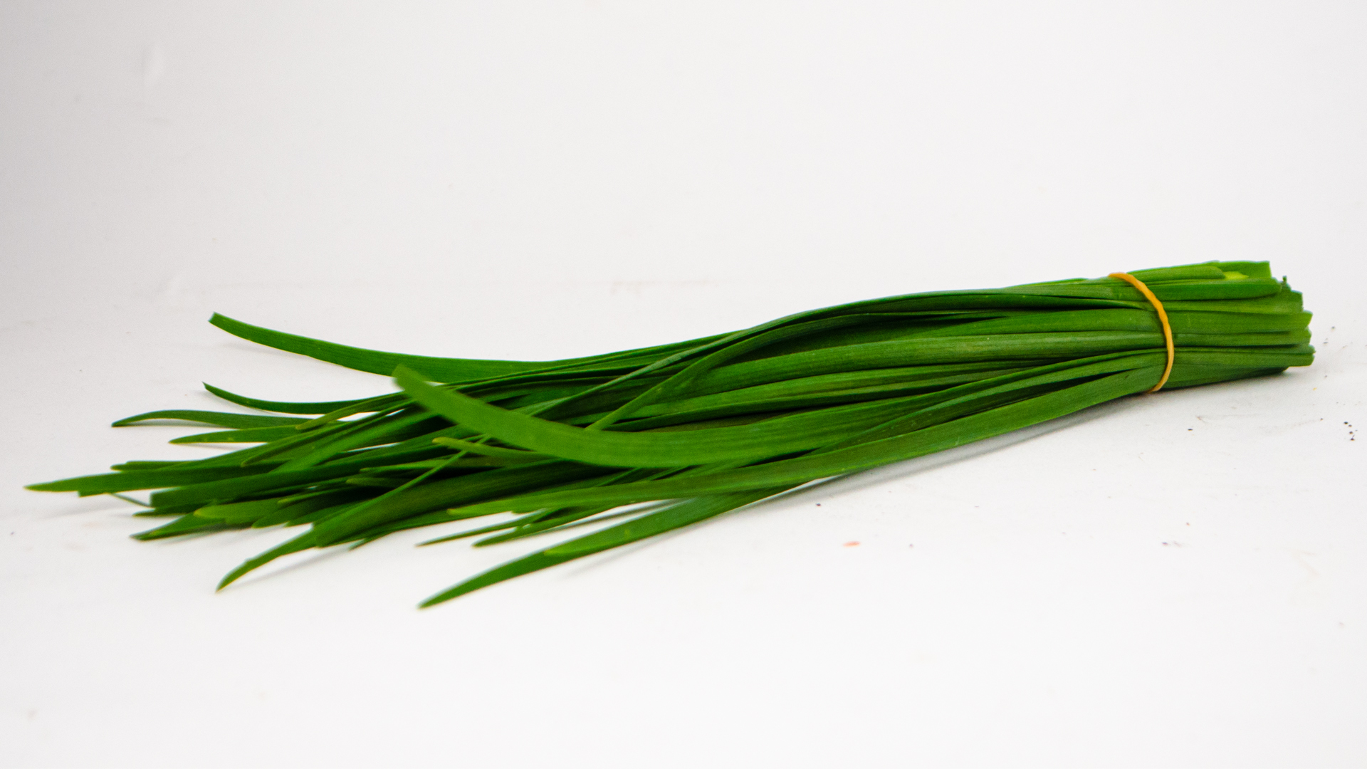 Jetzt Knoblauchgras online kaufen!
