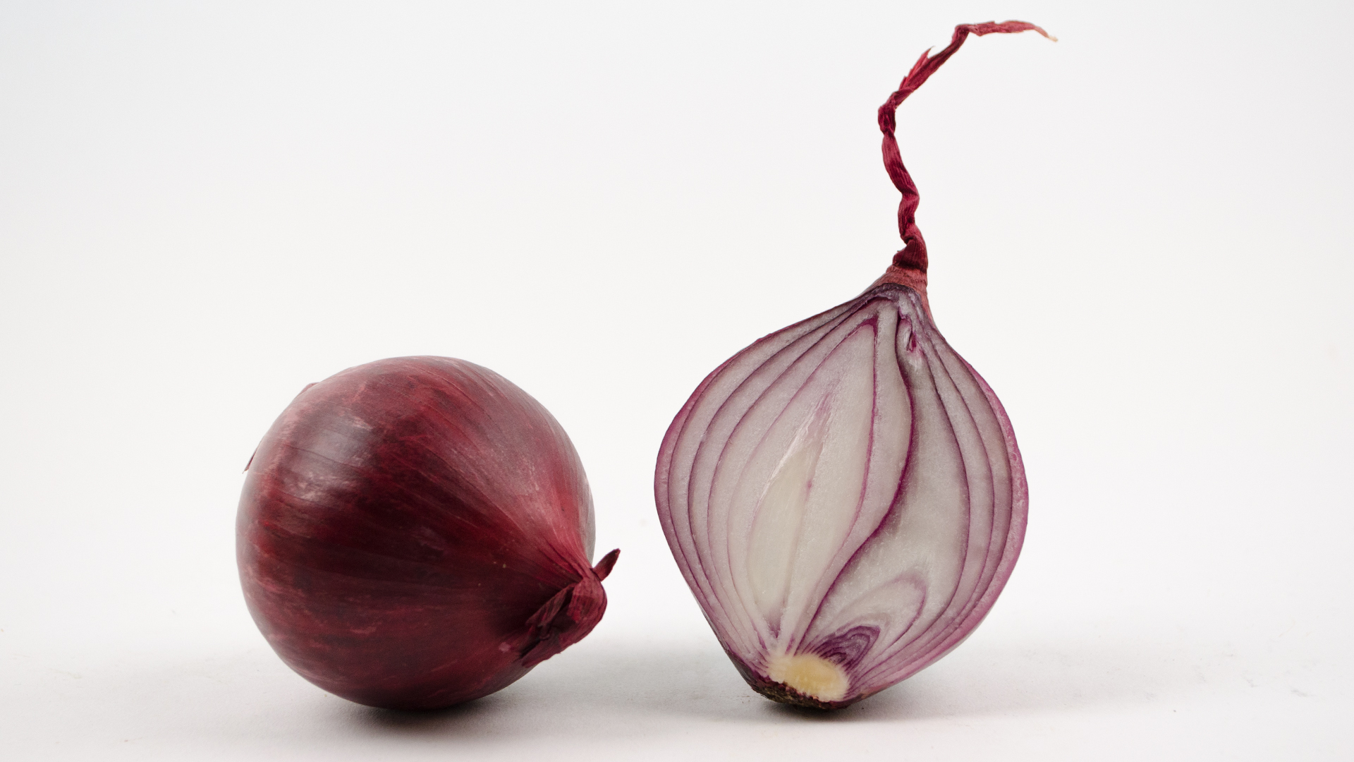 Zwiebel rot | SW10521