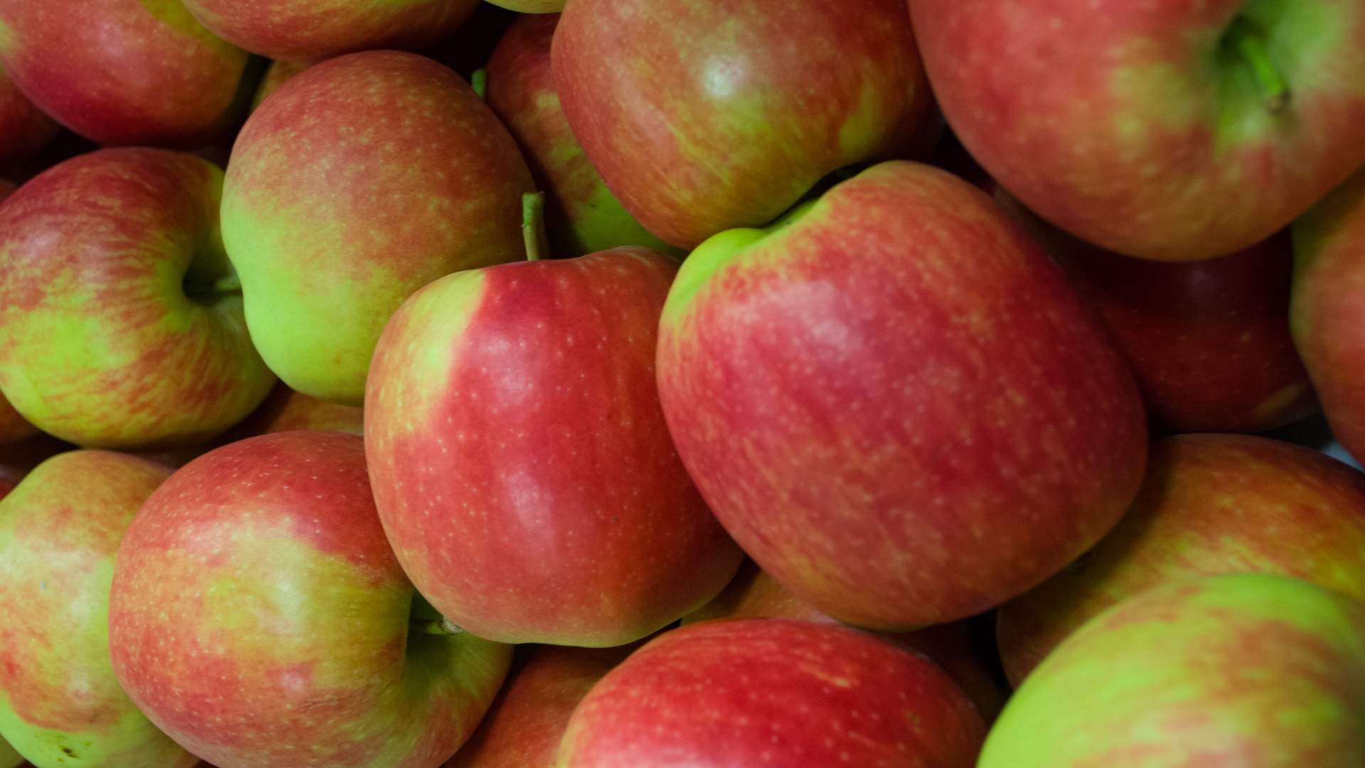 Delbare Apfel Kiste online bestellen/ kaufen bei Vegansnacks.de