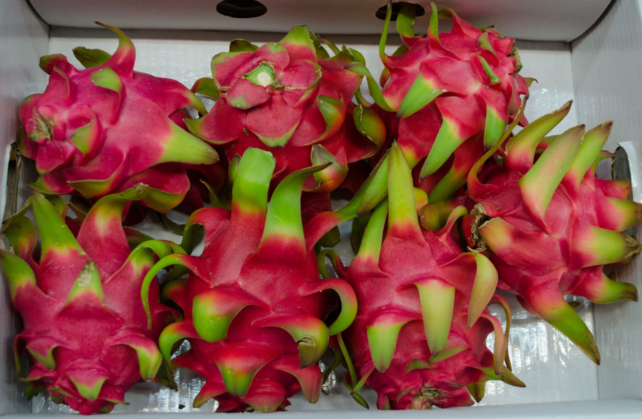 Pitahaya Drachenfrucht innen rot Kiste | SW10905