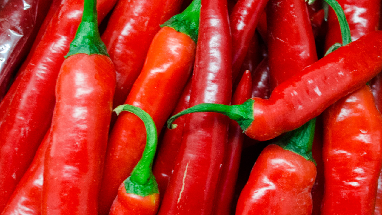 Bio Peperoni rot | SW12035