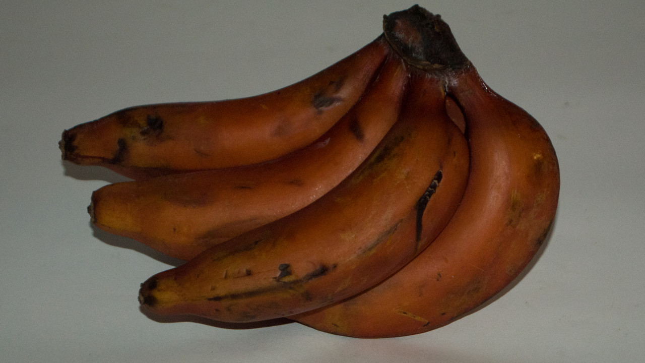 Rote Bananen online kaufen/bestellen bei Vegansnacks.de