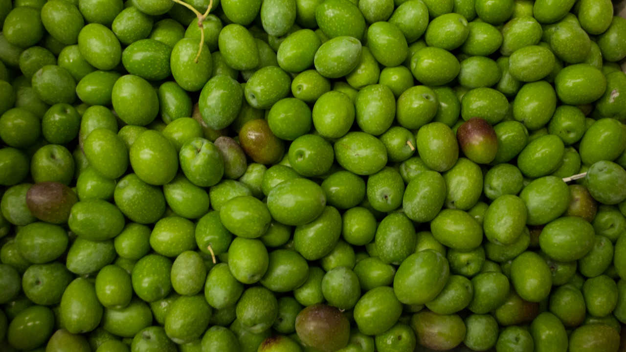 Frische Oliven online kaufen